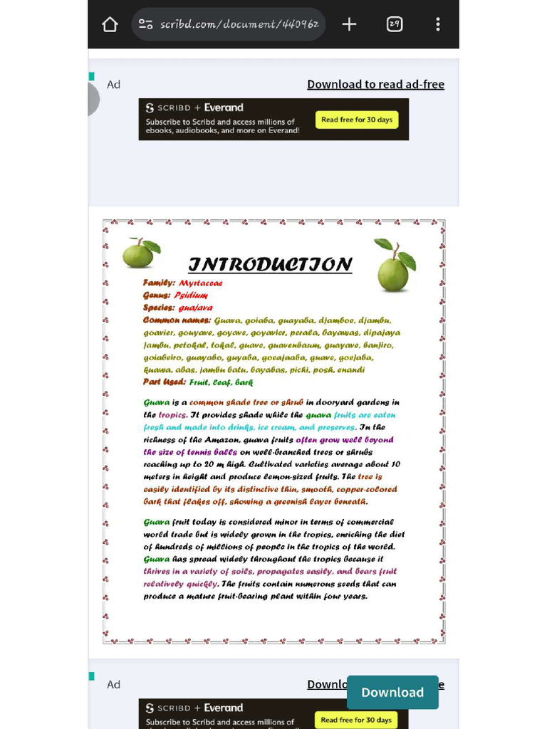 Presentation | PDF