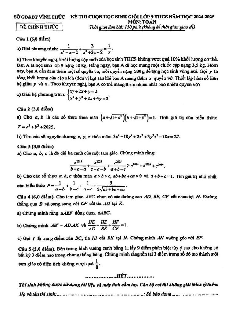 de-chon-hoc-sinh-gioi-toan-9-nam-2024-2025-so-gddt-vinh-phuc (1) | PDF