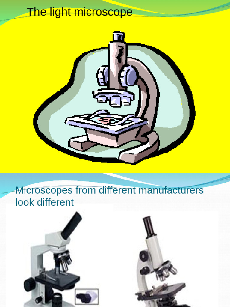 1 MICROSCOPE and Making Wet Mounts | PDF | Glass Engineering And ...