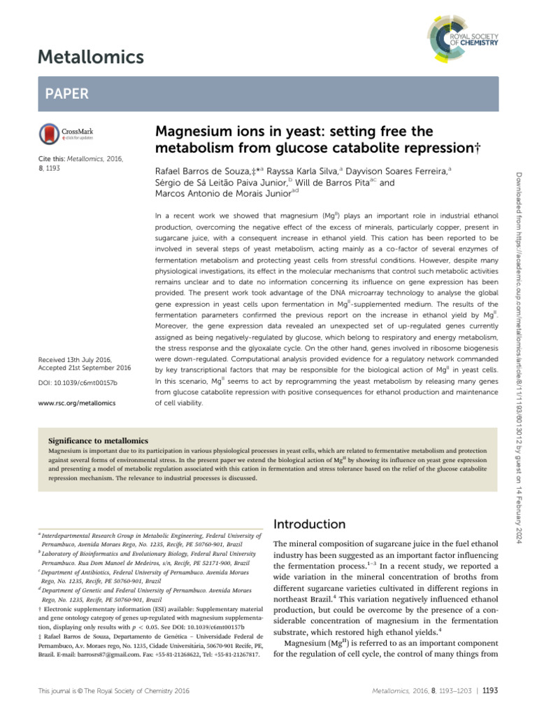 Mecanismos Del Ion Magnesio en Levaduras | PDF | Cellular Respiration ...