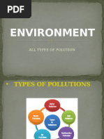 Types and Effects of Pollution Explained | PDF | Air Pollution | Pollution