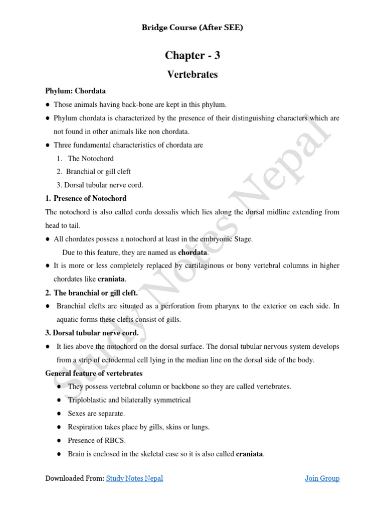 Unit-3-Vertebrates | PDF | Vertebrates | Gill