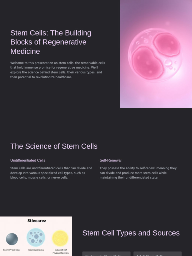 Stem Cells The Building Blocks of Regenerative Medicine | PDF | Stem ...