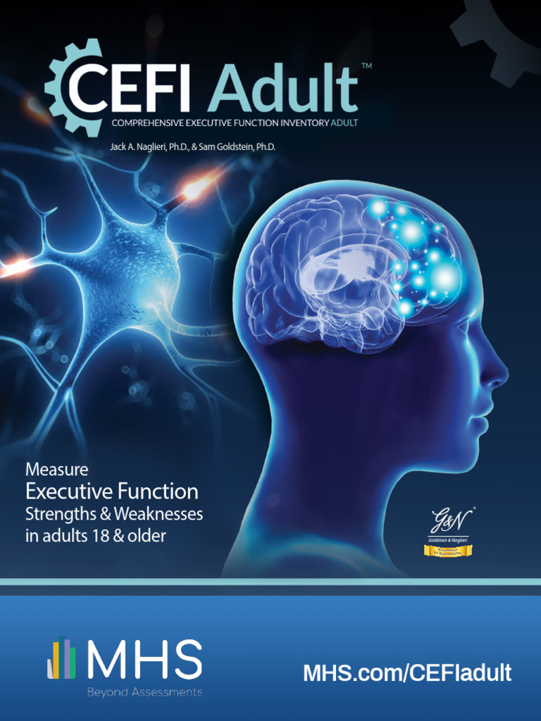 CEFI Adult: Executive Function Assessment | PDF | Executive Functions ...