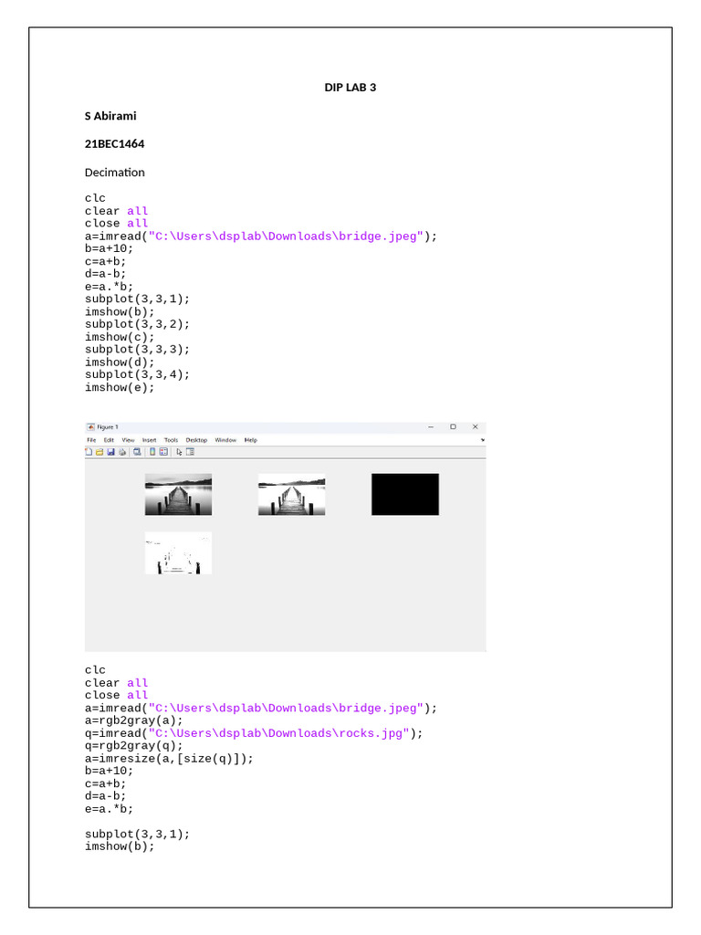 Abi Decimation | PDF