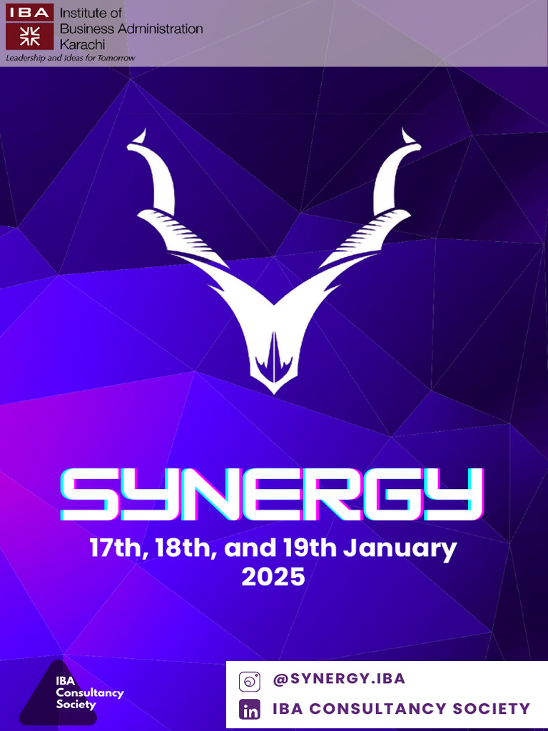 IBA Synergy Institute Invite 20241228 114609 0000 | PDF | Business ...