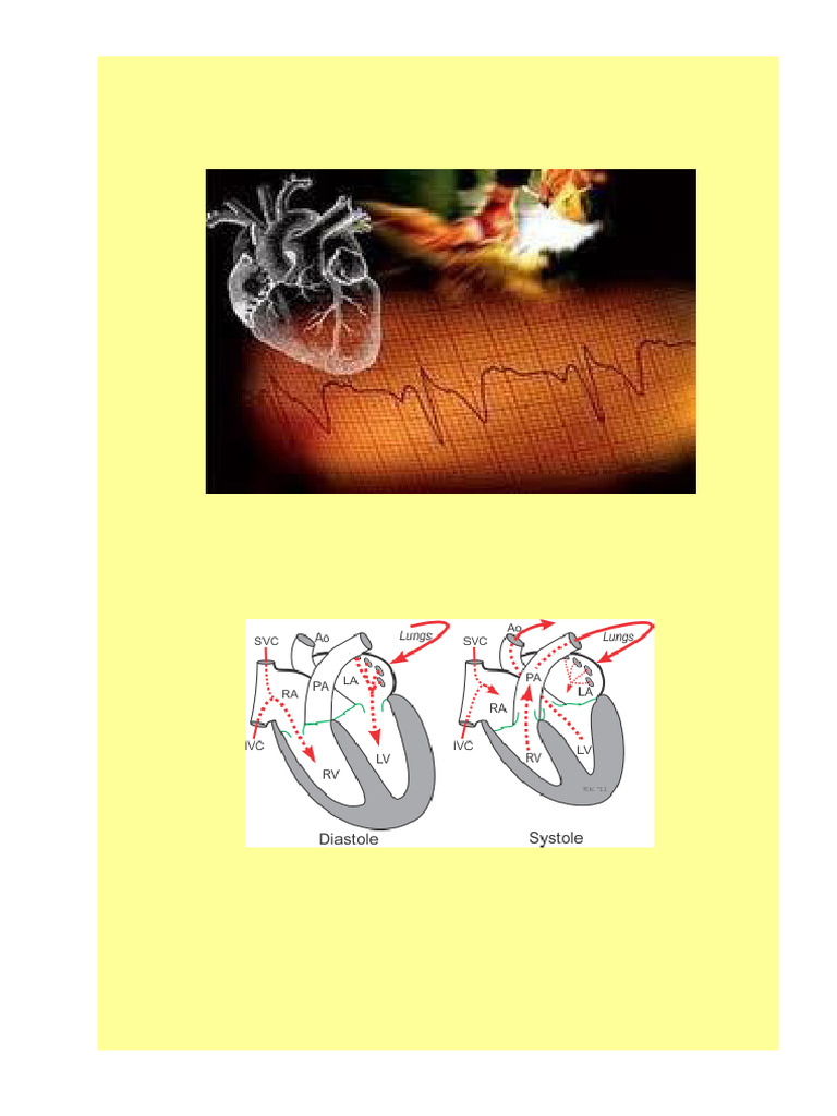 Understanding Normal ECG and Cardiac Cycle | PDF | Electrocardiography ...