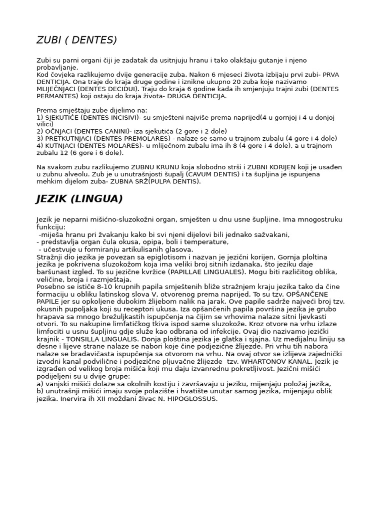 Anatomija (Zubi I Jezik) | PDF