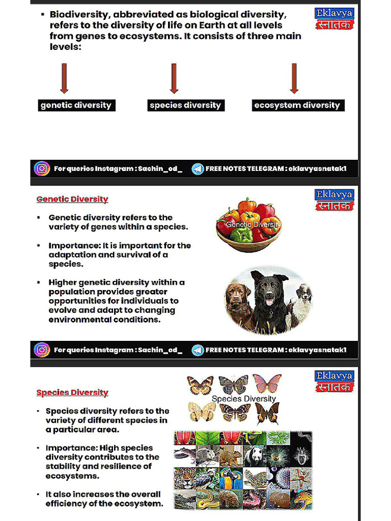 Evs Sem 3 Notes | PDF