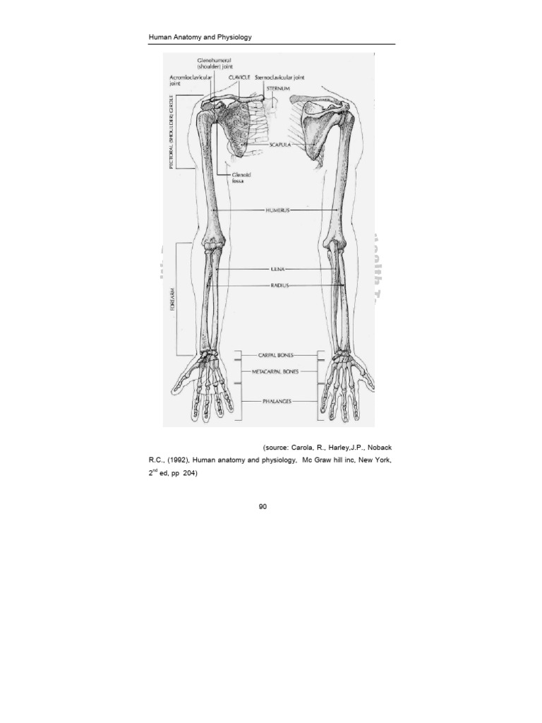 ln_human_anat_final-100 | PDF