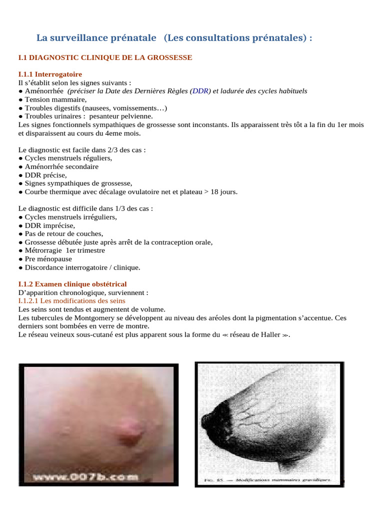 Échographie à 6 SA : Diagnostic et Datation | PDF | Grossesse | Utérus