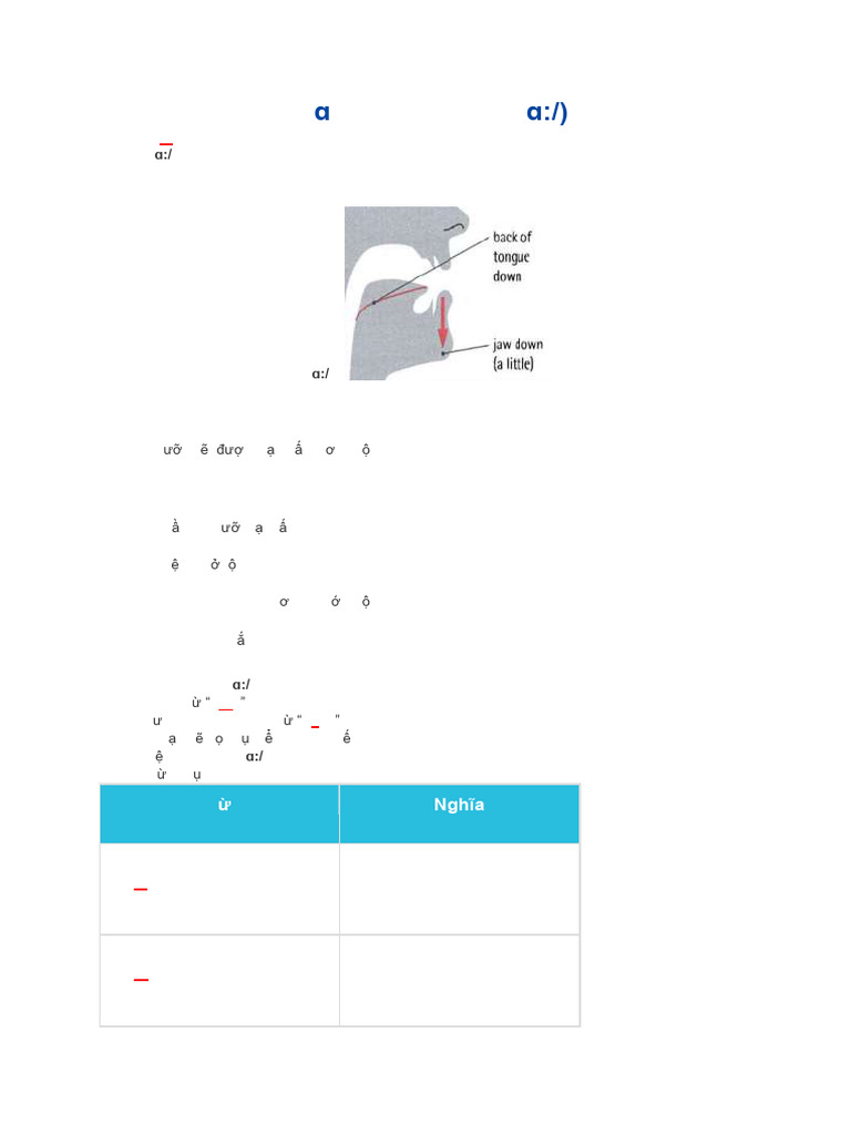 Lesson5 Ɑ Dai | PDF