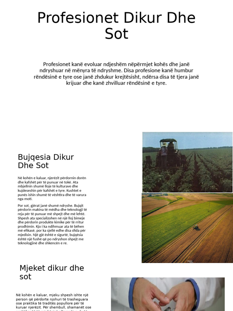 Profesionet Dikur Dhe Sot | PDF