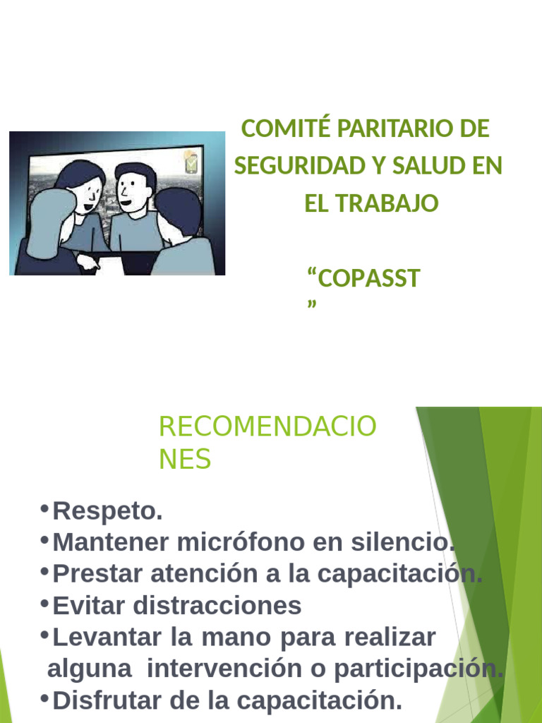 Copasst Funciones y Responsabilidades | PDF | Valores
