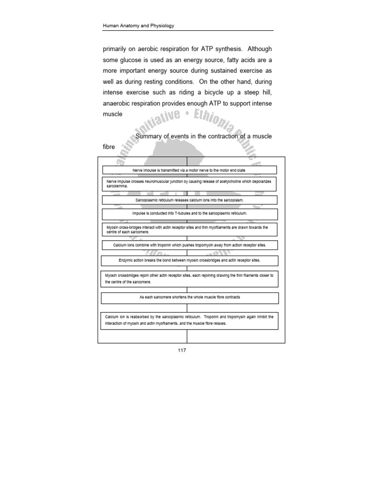 ln_human_anat_final-127 | PDF