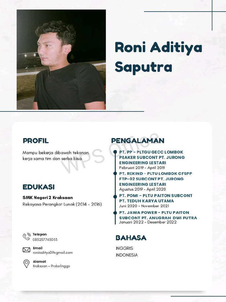 Roni CV | PDF