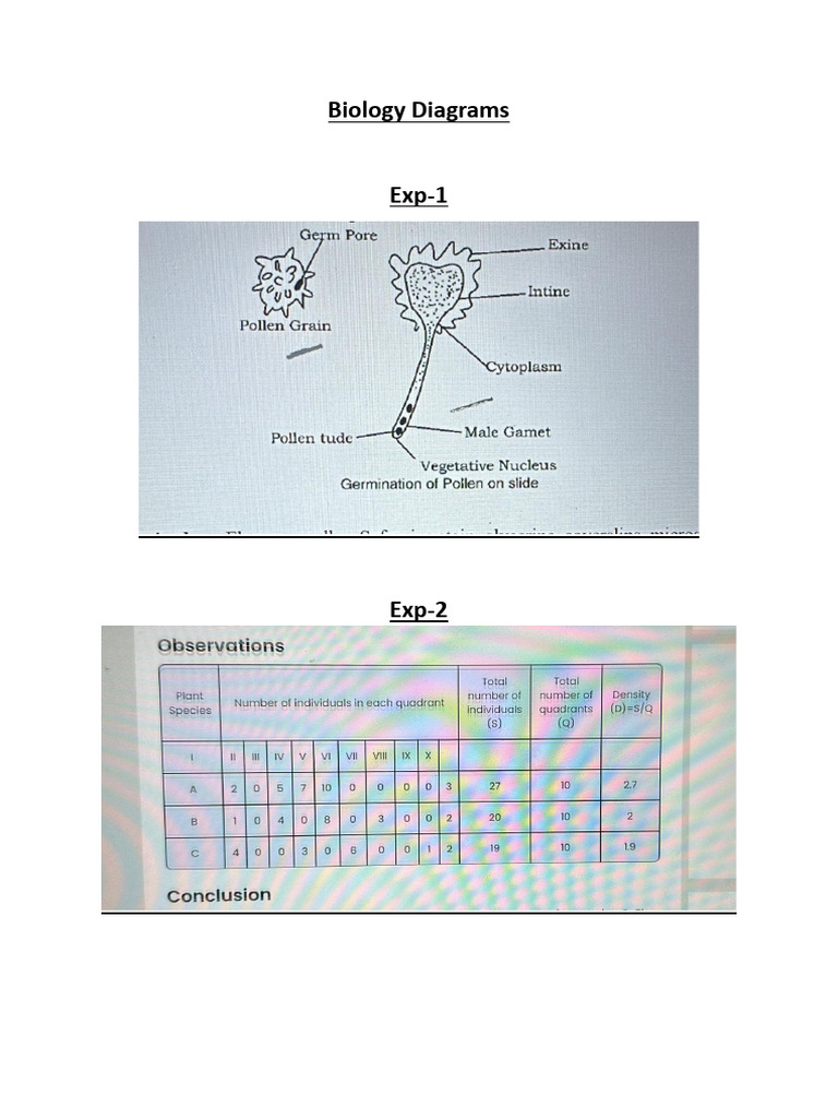 Biology Diagrams | PDF