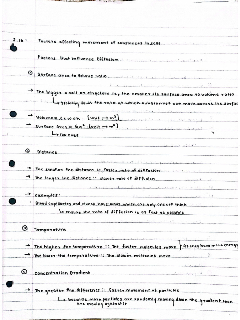 Factors Affecting The Movement of Substances | PDF