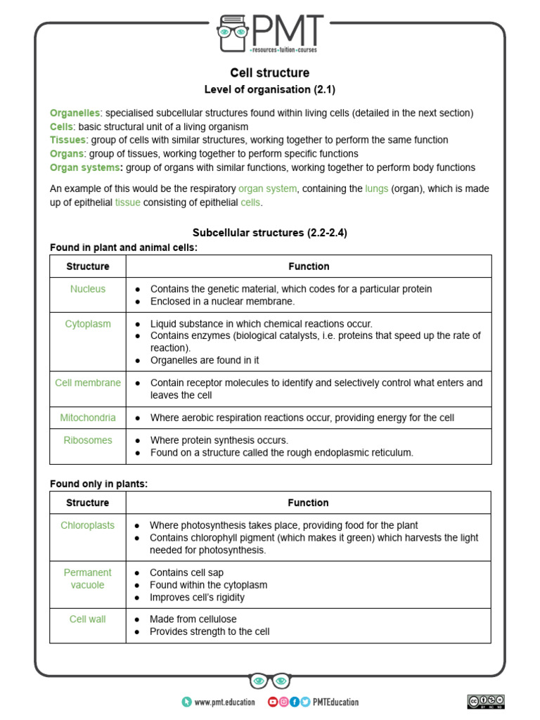 Structure and Functions in Living Organisms | PDF | Enzyme | Photosynthesis