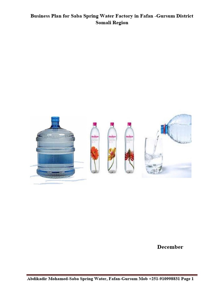 Saba Spring Water Business Plan | PDF | Bottled Water | Water