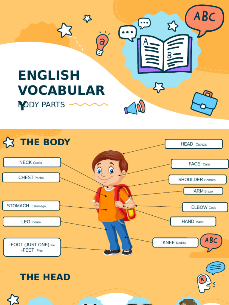 English Vocabulary THE BODY | PDF | Anatomía humana | Extremidades ...