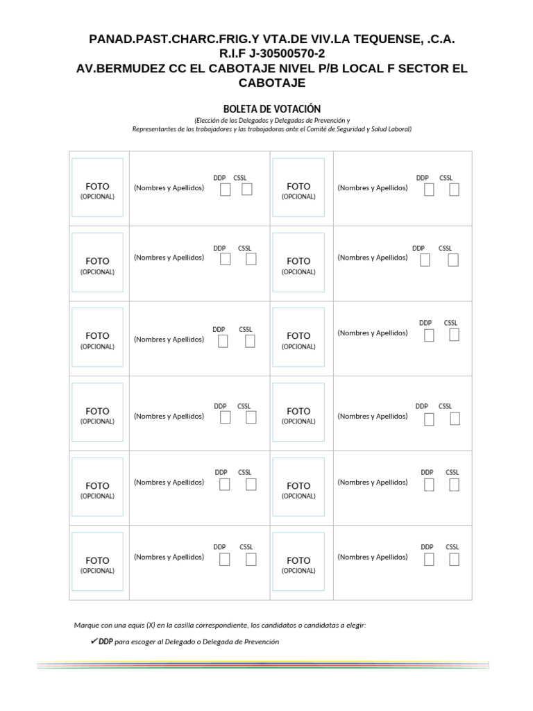 formulario-07.-boleta | PDF