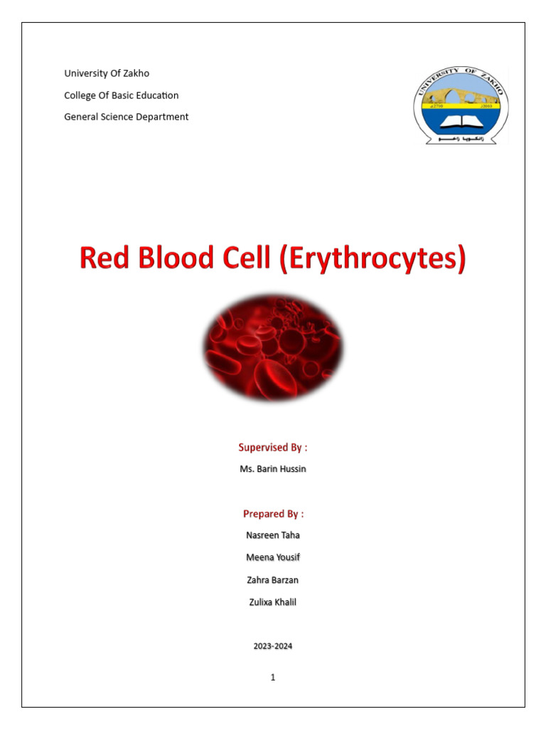 Histology RBC Life Cycle | PDF | Red Blood Cell | Blood Cell