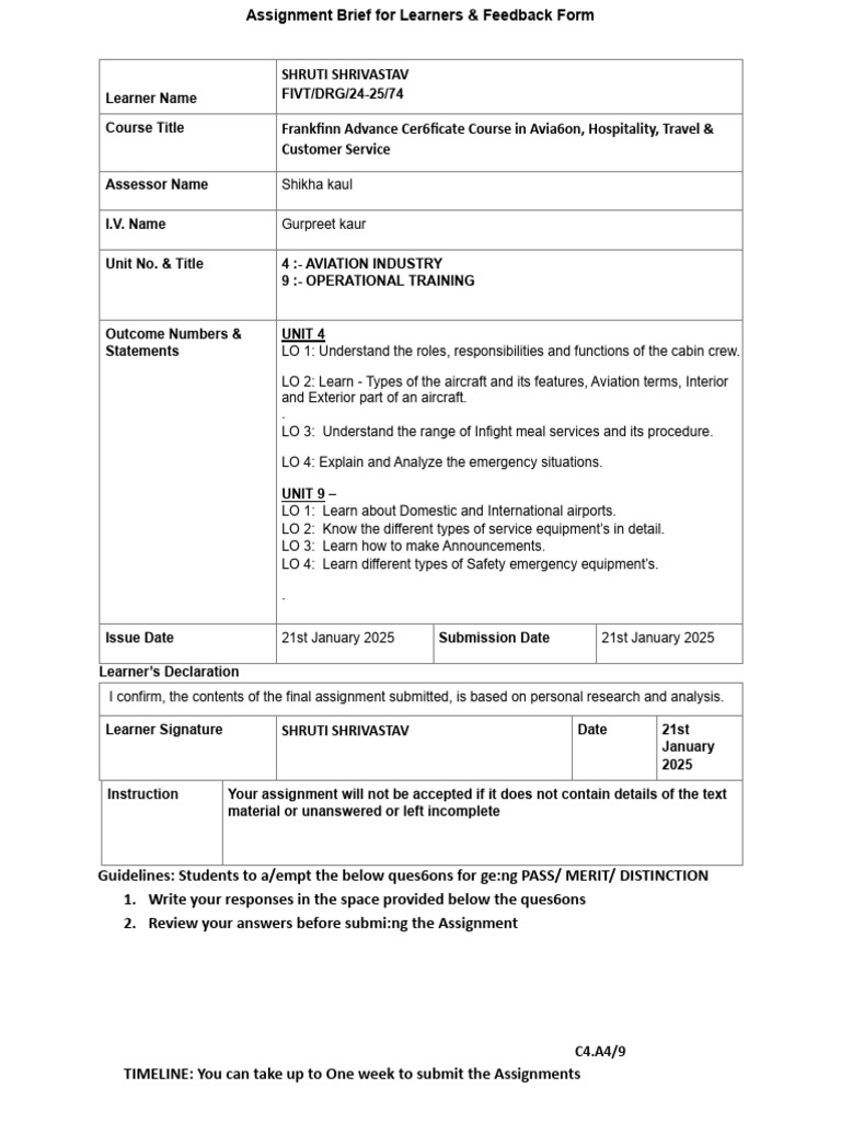 Aviation Industry Assignment Brief | PDF | Flight Control Surfaces | Curry
