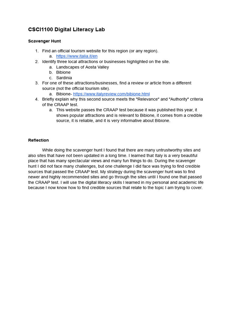 CSCI1100 Digital Literacy Lab - Ada Graham | PDF