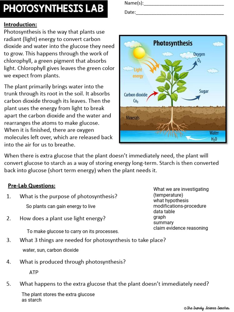 Photosynthesis Lab-1 | PDF | Photosynthesis | Nature