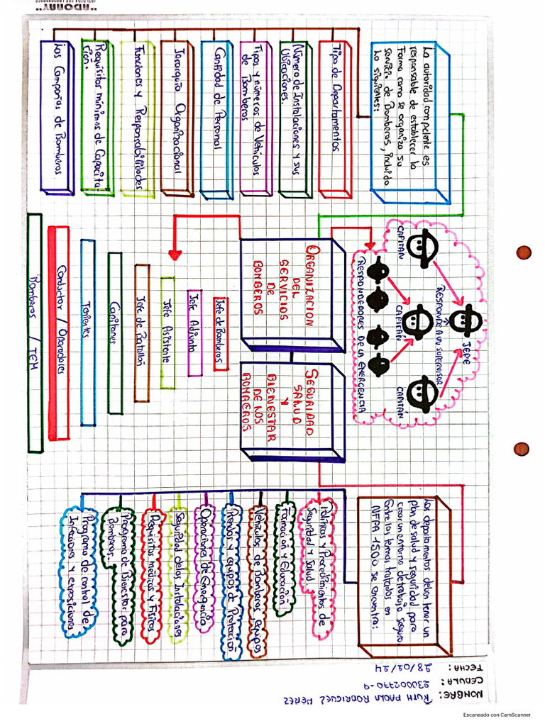 Rodriguez-Mapa Conceptual | PDF