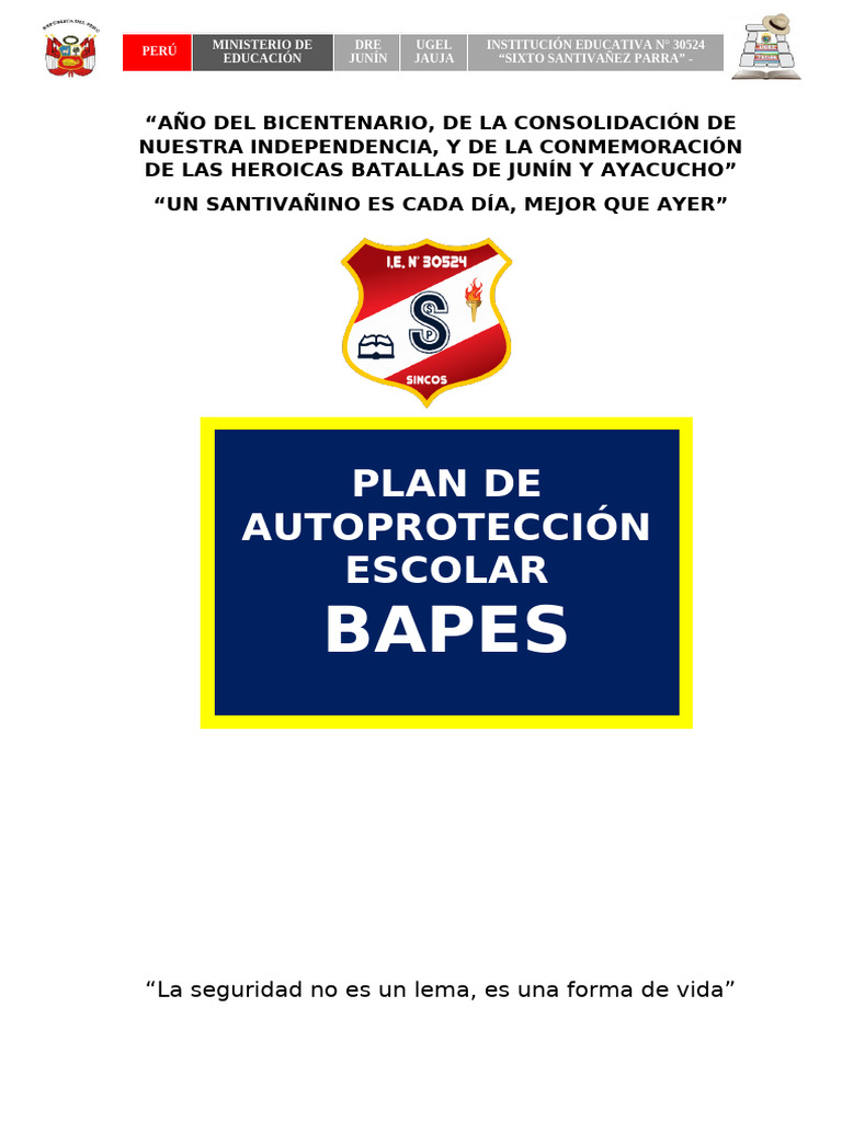 Plan de Trabajo BAPES 2024 | PDF | Policía | Escuelas