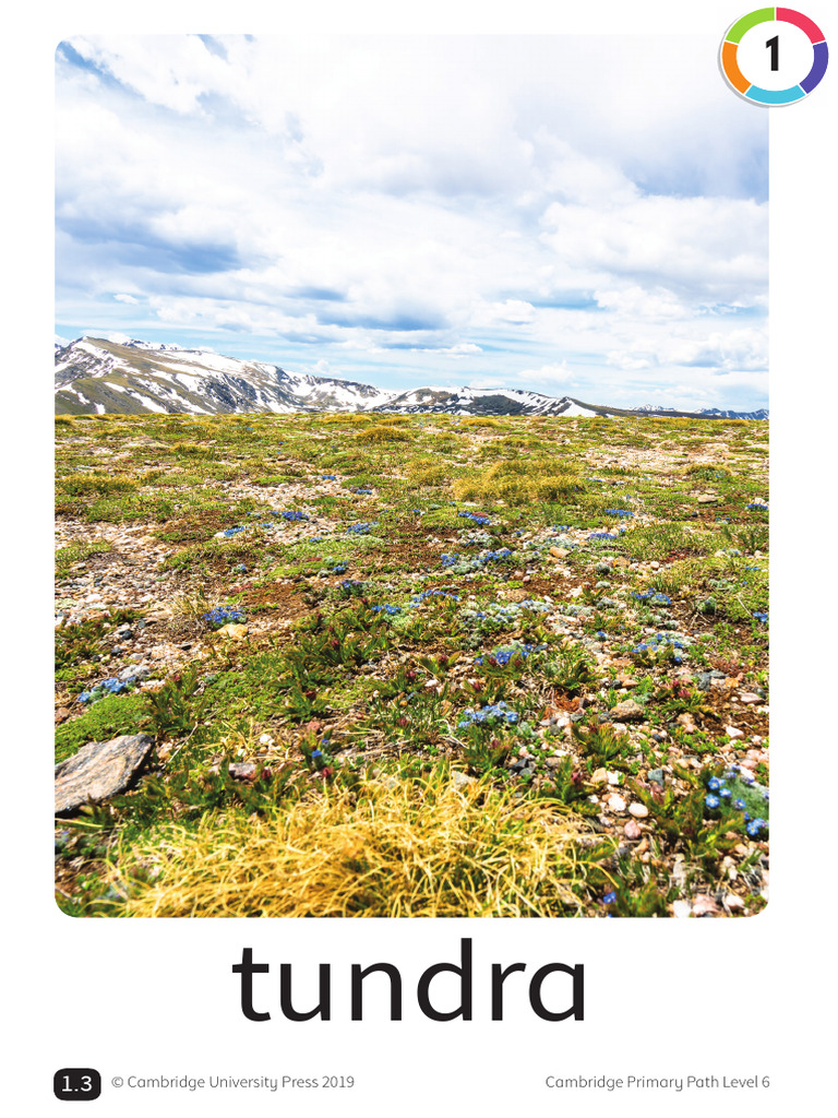 CPP_L6_Flashcard_1.3_tundray | PDF