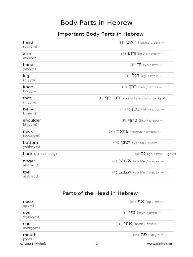body-parts-in-hebrew | PDF