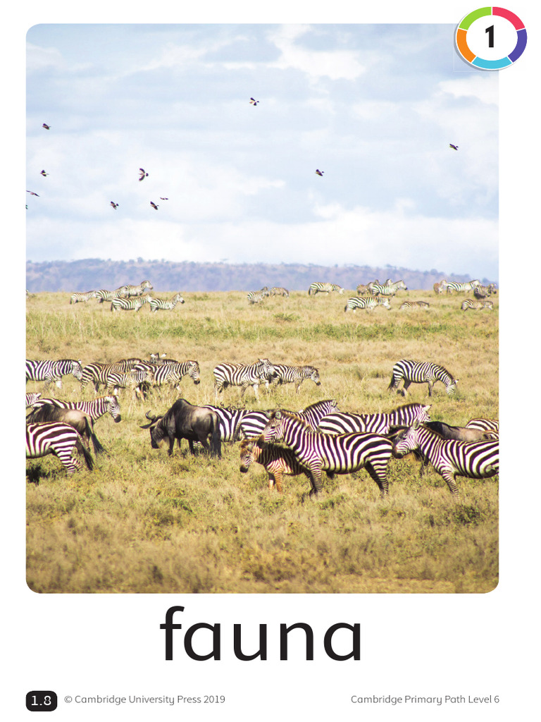 CPP L6 Flashcard 1.8 Faunah | PDF