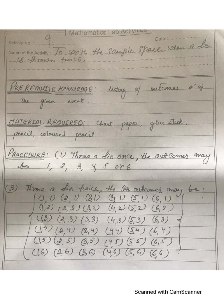 Class 11 Activity 9 | PDF