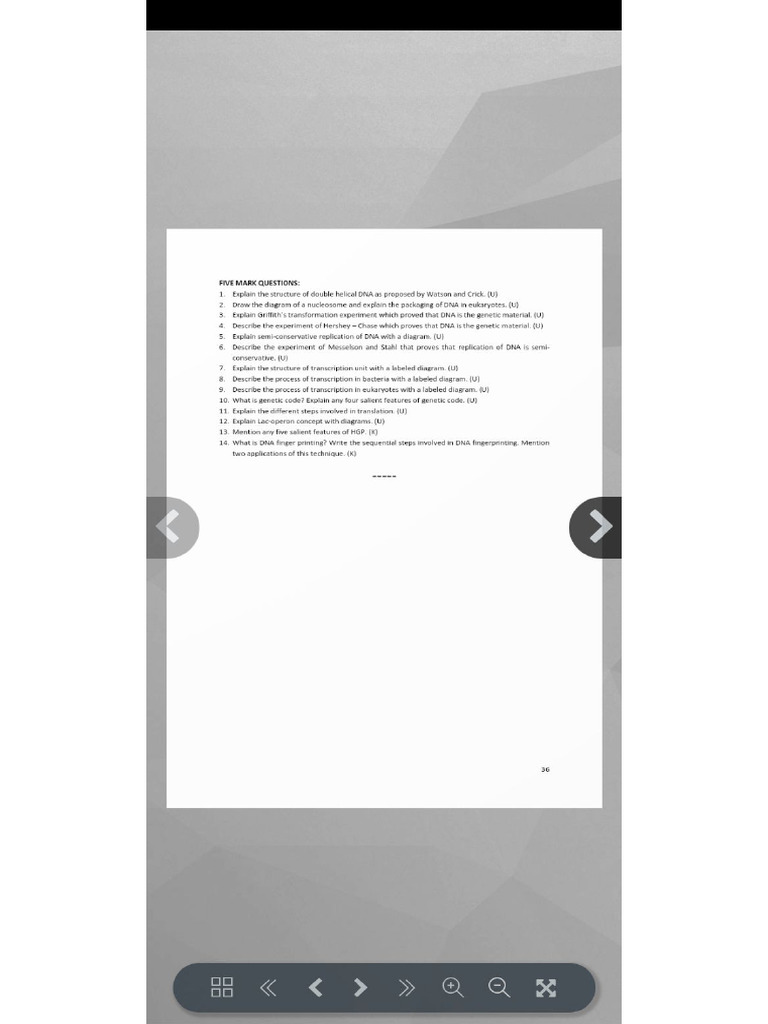 Molecular Basis of Inheritance | PDF