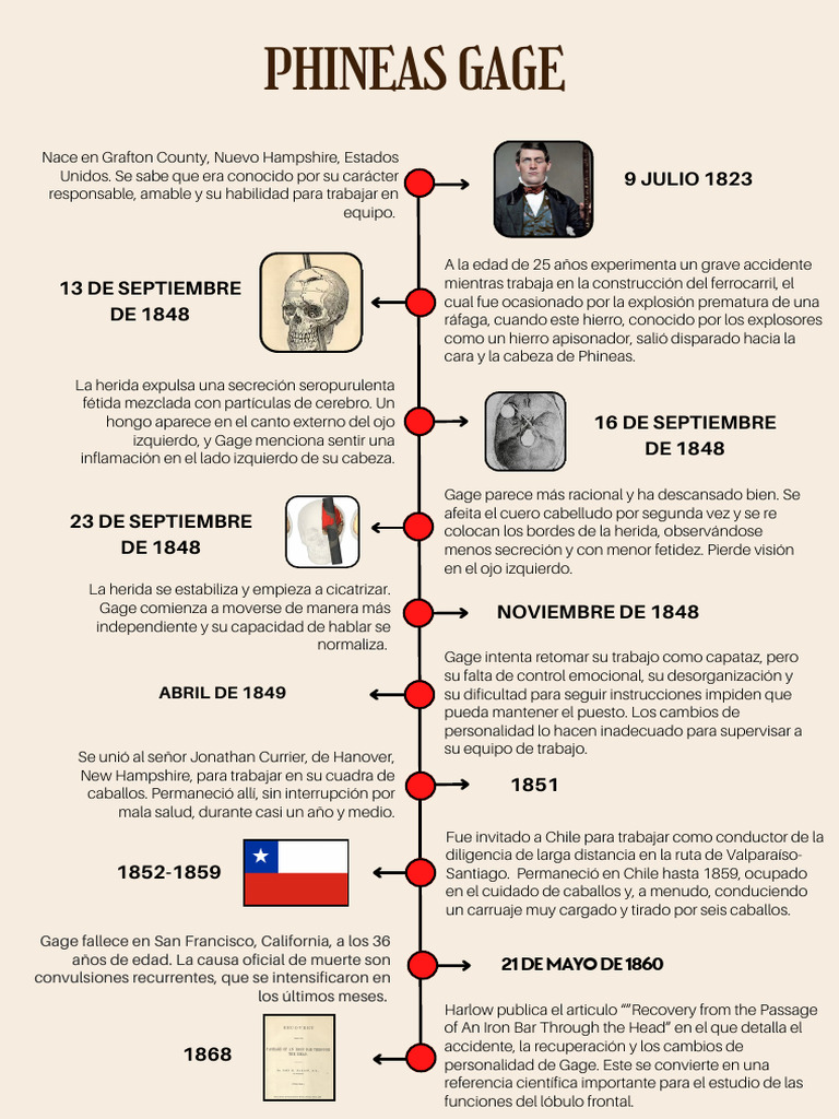 Phineas Gage Historia PDF | PDF
