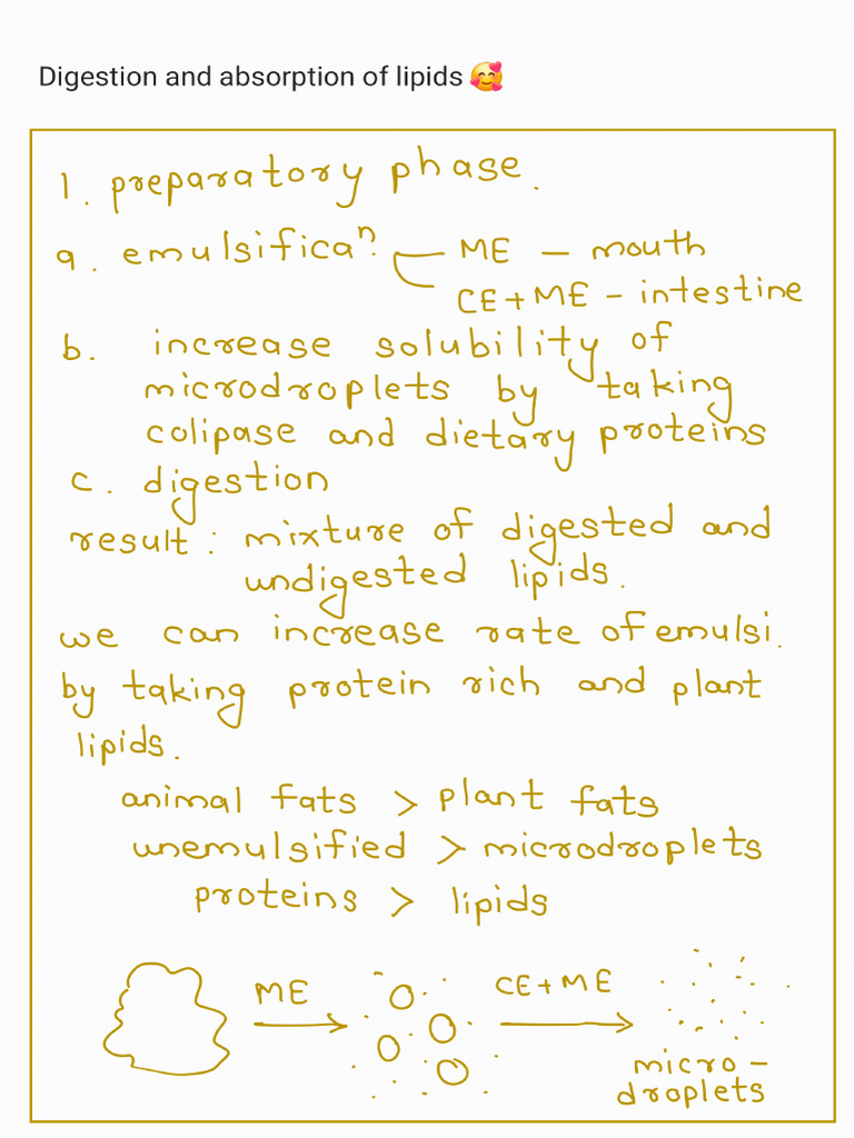 Ayush digestion lipids (1) | PDF