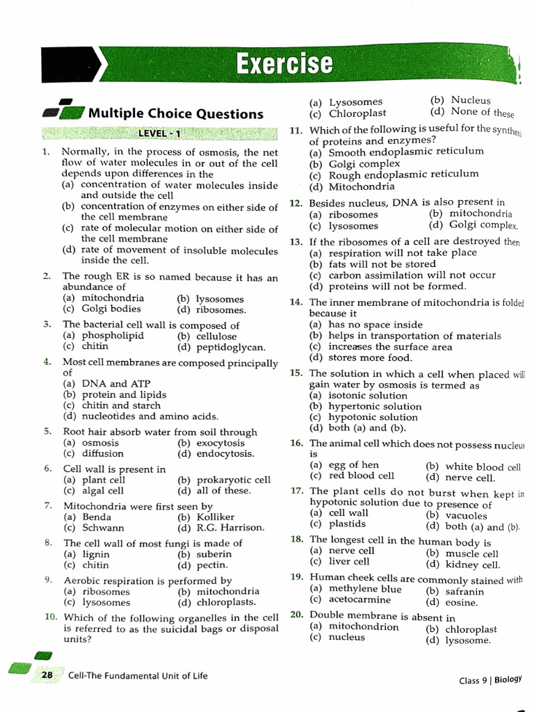 Cell Practice Set 1 | PDF