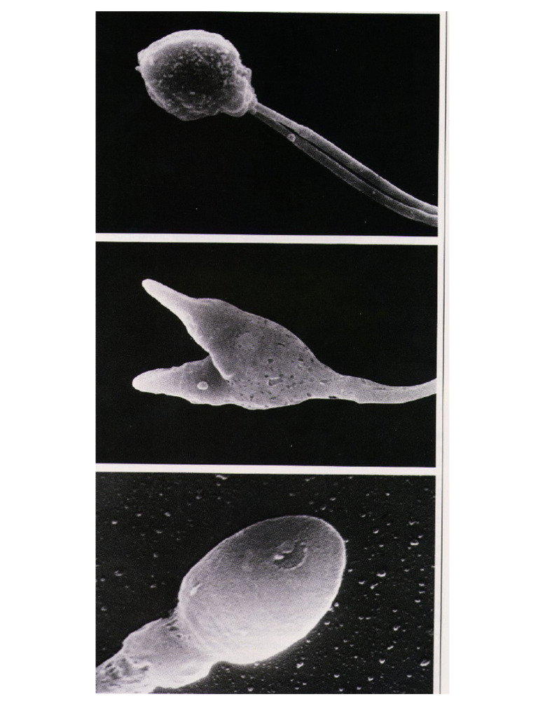 Science 10 Unit 2-Lesson#3 | PDF