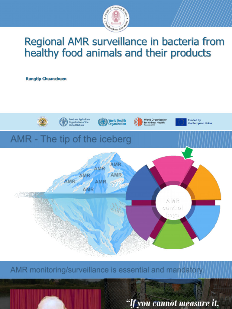 Regional AMR Surveillance | PDF | Antimicrobial Resistance | Biology