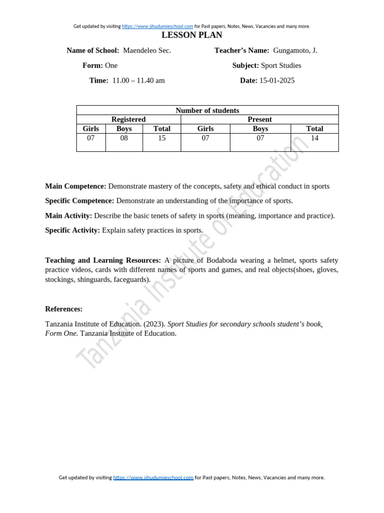 Updated Lesson Plan Sample | PDF | Lesson Plan | Learning