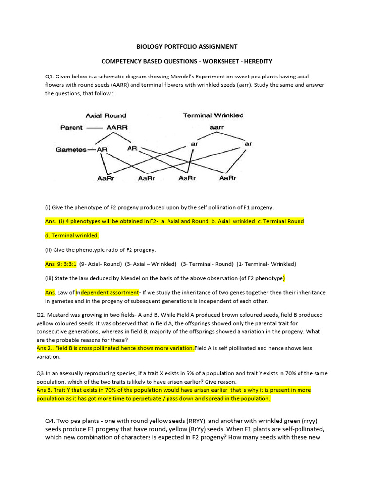 Mendelian Genetics: Heredity Worksheet | PDF | Dominance (Genetics ...