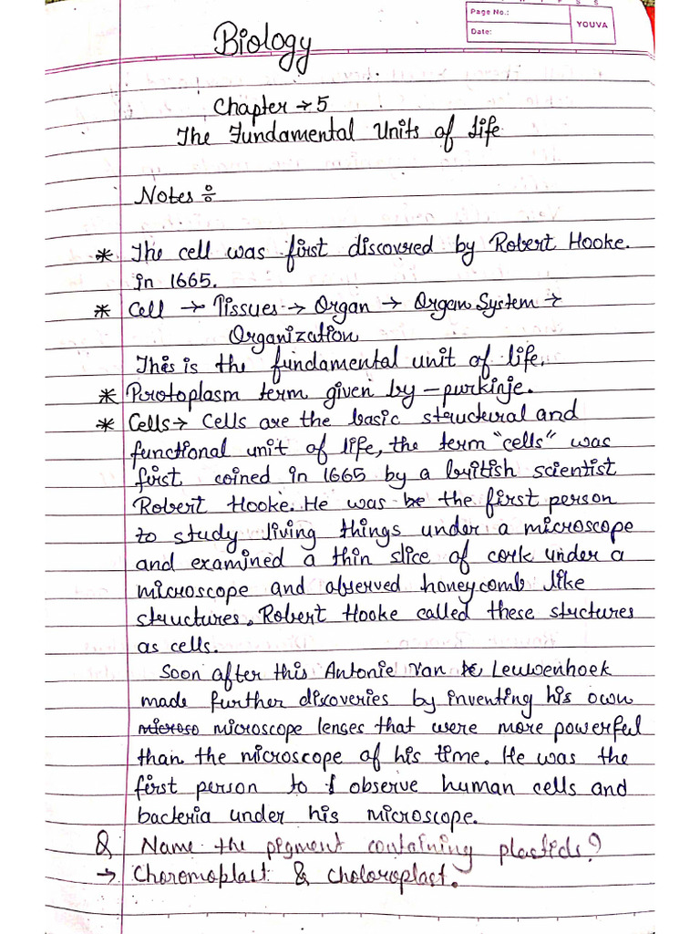 DocScanner 25 Jun 2024 18-33 | PDF