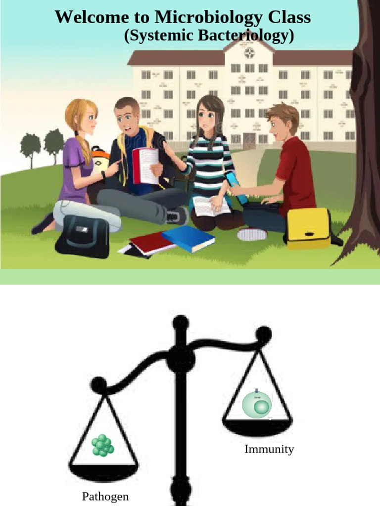 Understanding Pyogenic Cocci in Bacteriology | PDF | Streptococcus ...