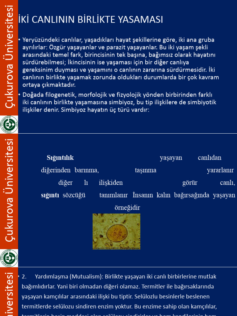 Parazit Ve Parazitlik | PDF