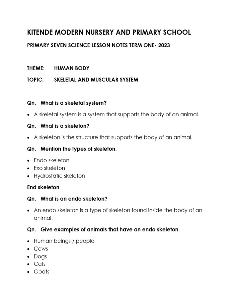 Primary 7 Science: Human Body Systems | PDF | Electric Generator | Skeleton