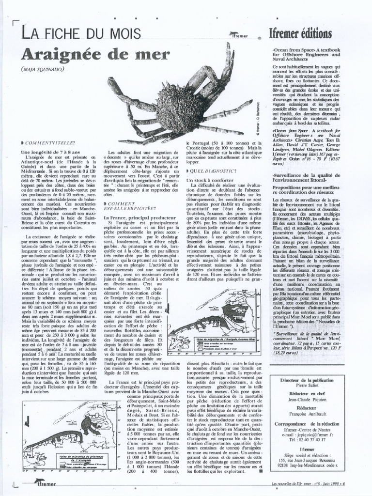 araignee de mer | PDF