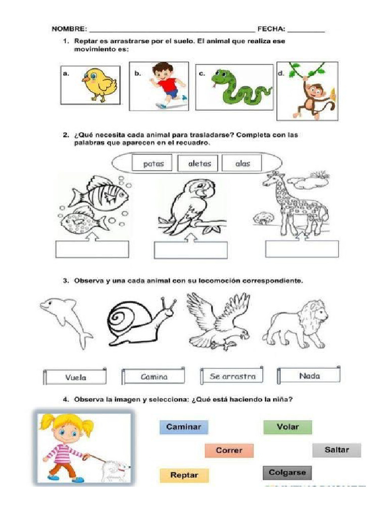 Documento1 Docxintegrada | PDF